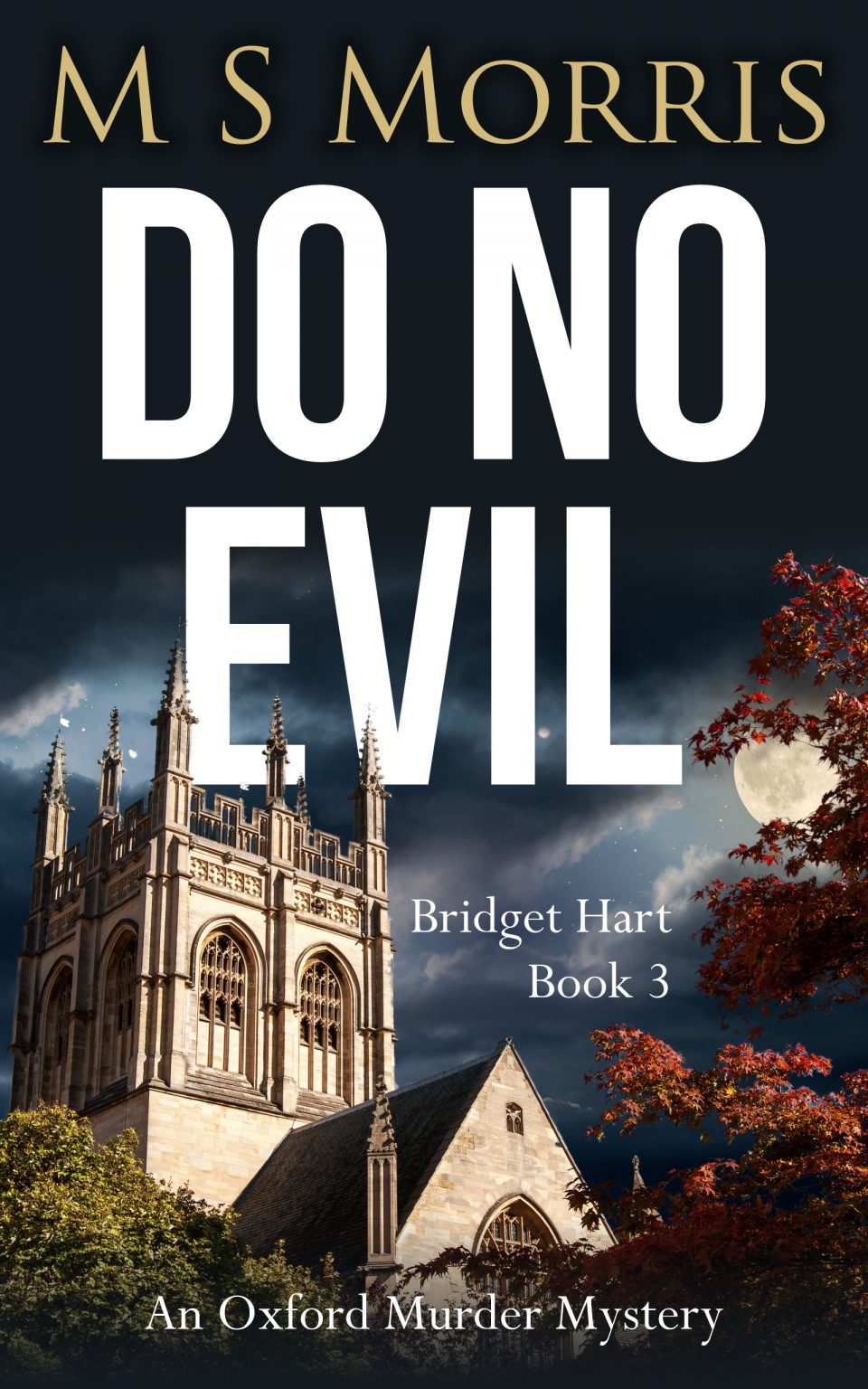 Bridget Hart Series