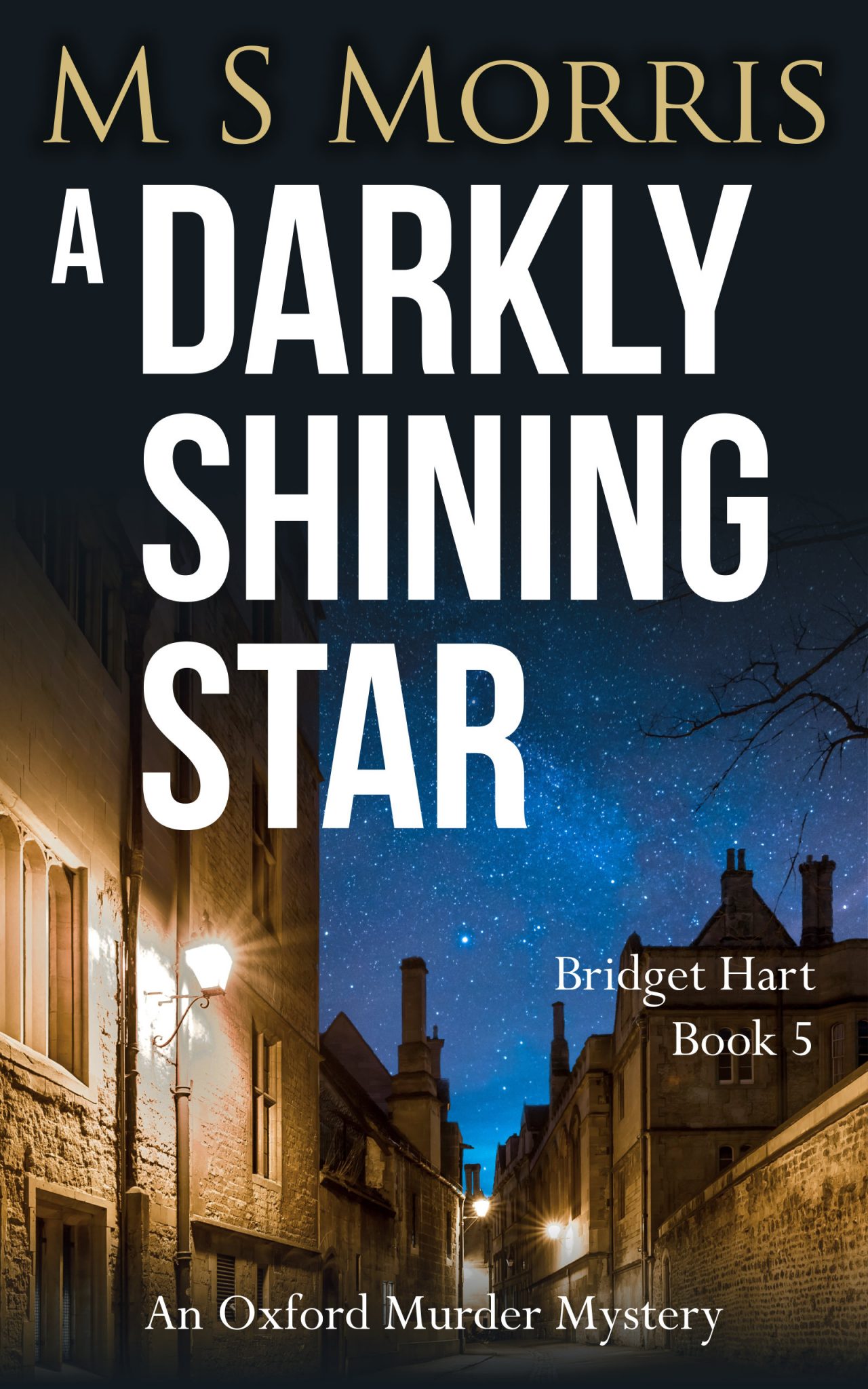Bridget Hart Series