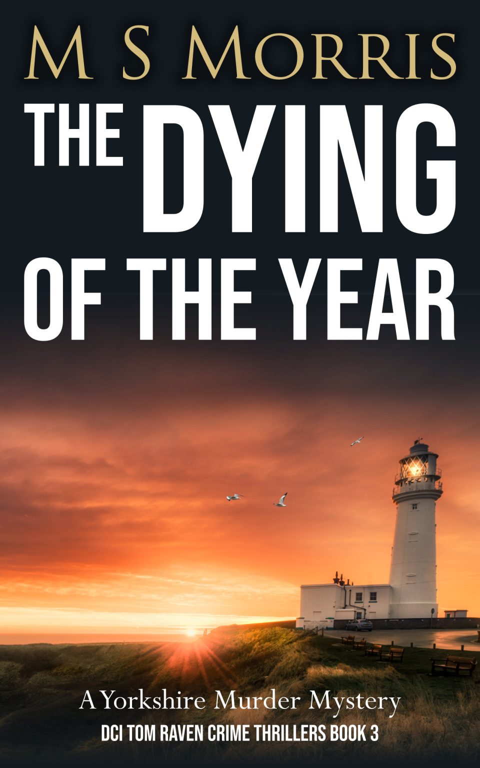 DCI Tom Raven Crime Thrillers Series